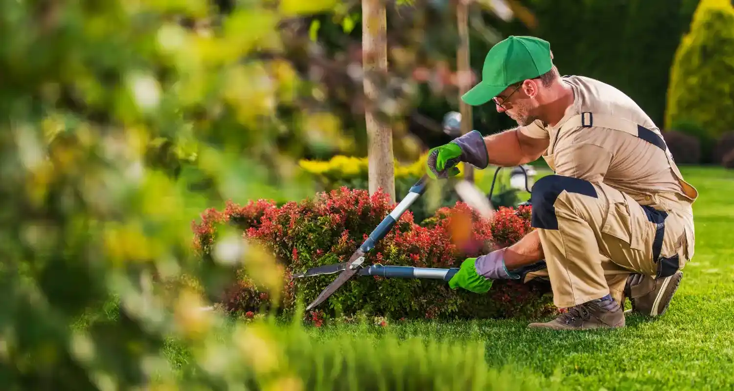 What Are Some Good Landscaping Ideas for Small Yards - Communities ...